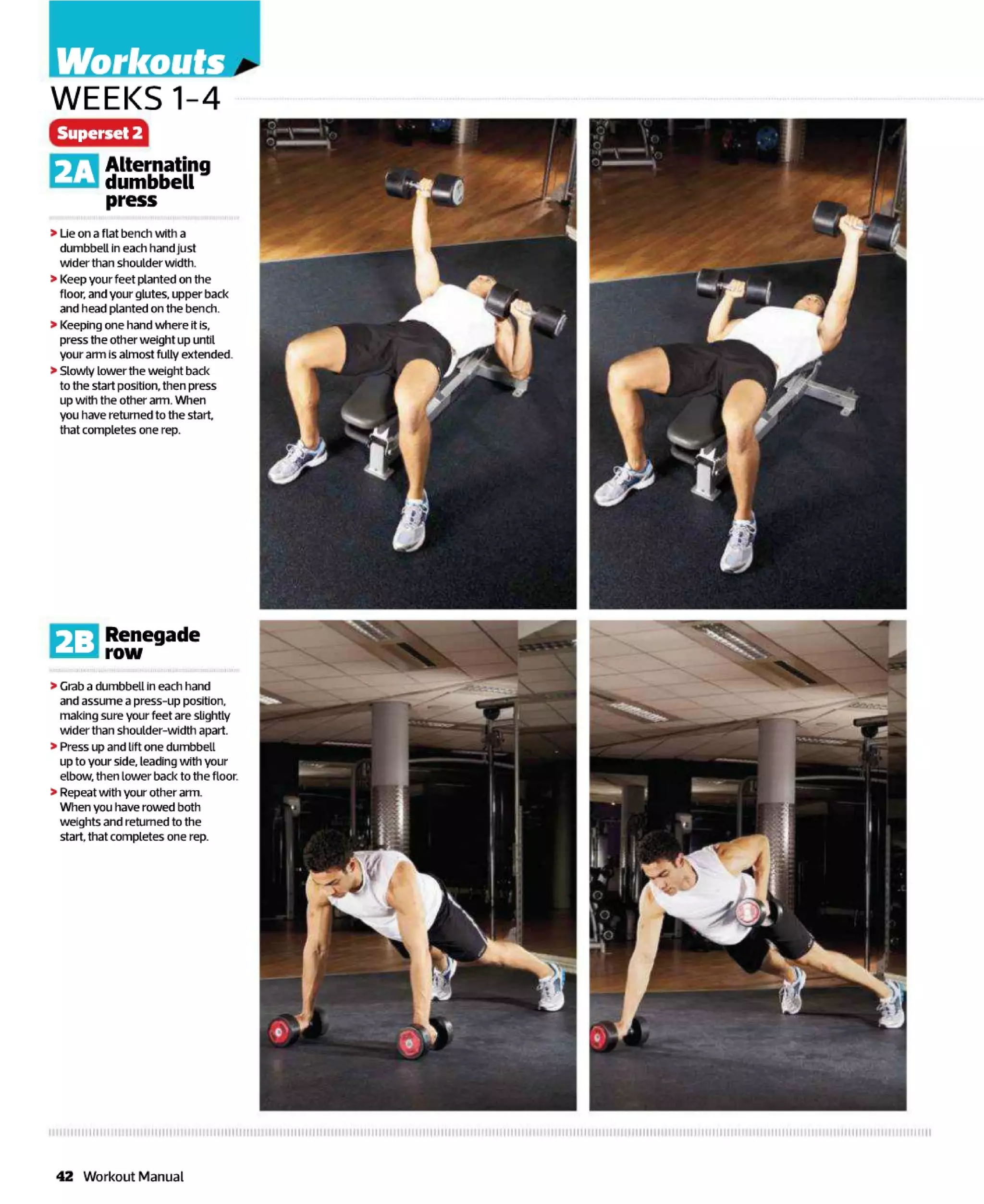 Men's fitness workout manual your guide to building muscle and burning ...