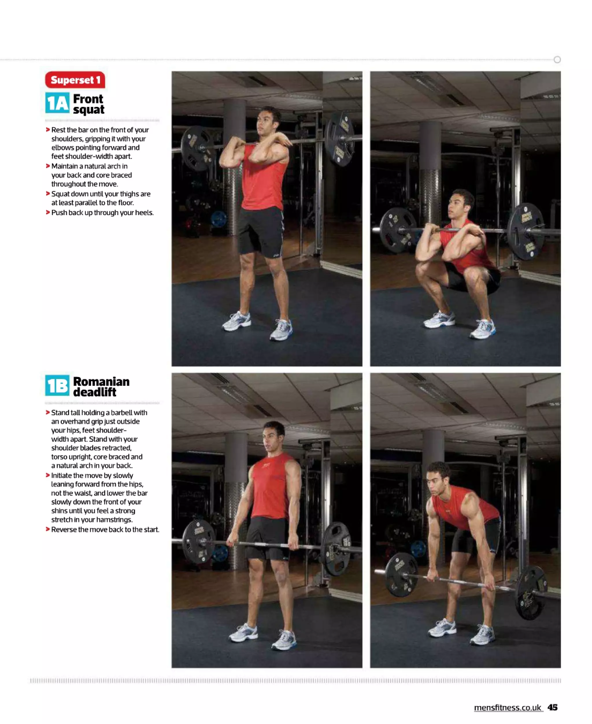 Men's fitness workout manual your guide to building muscle and burning ...