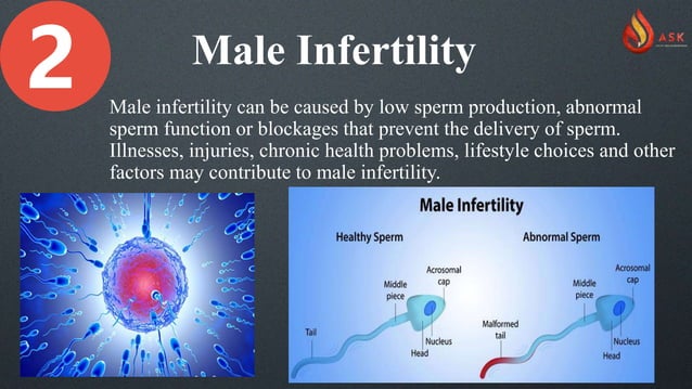 Men's Health | PPT