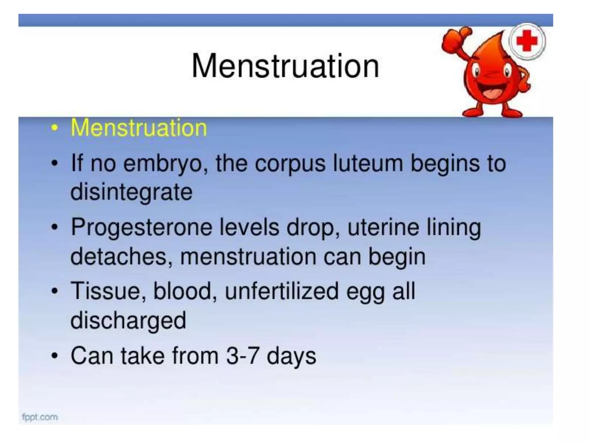 Menstrual cycle | PPT