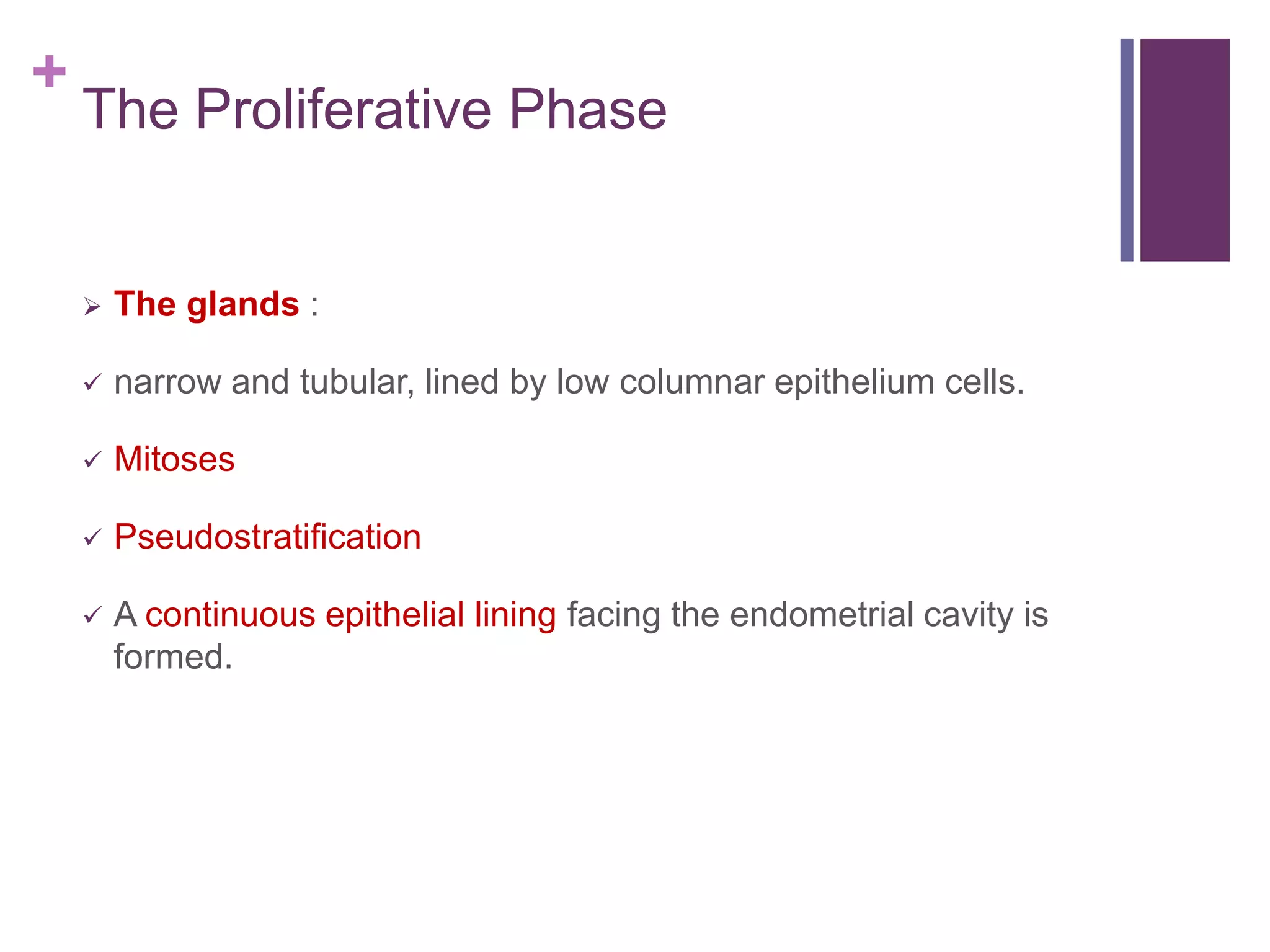 Physiology of menstruation | PPTX