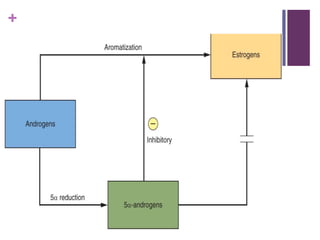 Physiology of menstruation | PPTX