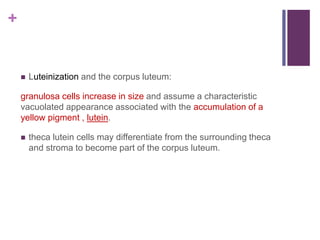 Physiology of menstruation | PPTX