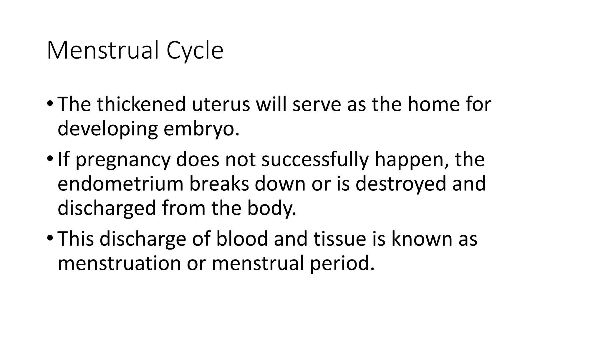 Menstrual -Cycle Powepoint Presentationn | PPT