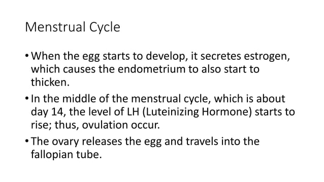 Menstrual -Cycle Powepoint Presentationn | PPT