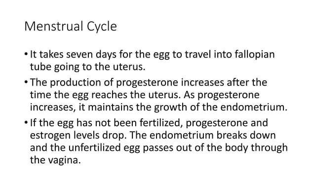Menstrual -Cycle Powepoint Presentationn | PPT