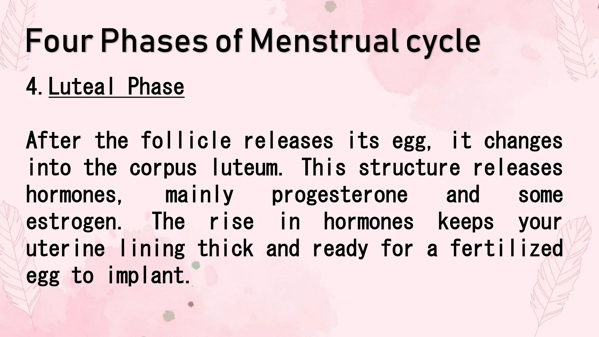 MENSTRUAL CYCLE PRESENTATION.pptx-Grade 10 | PPTX