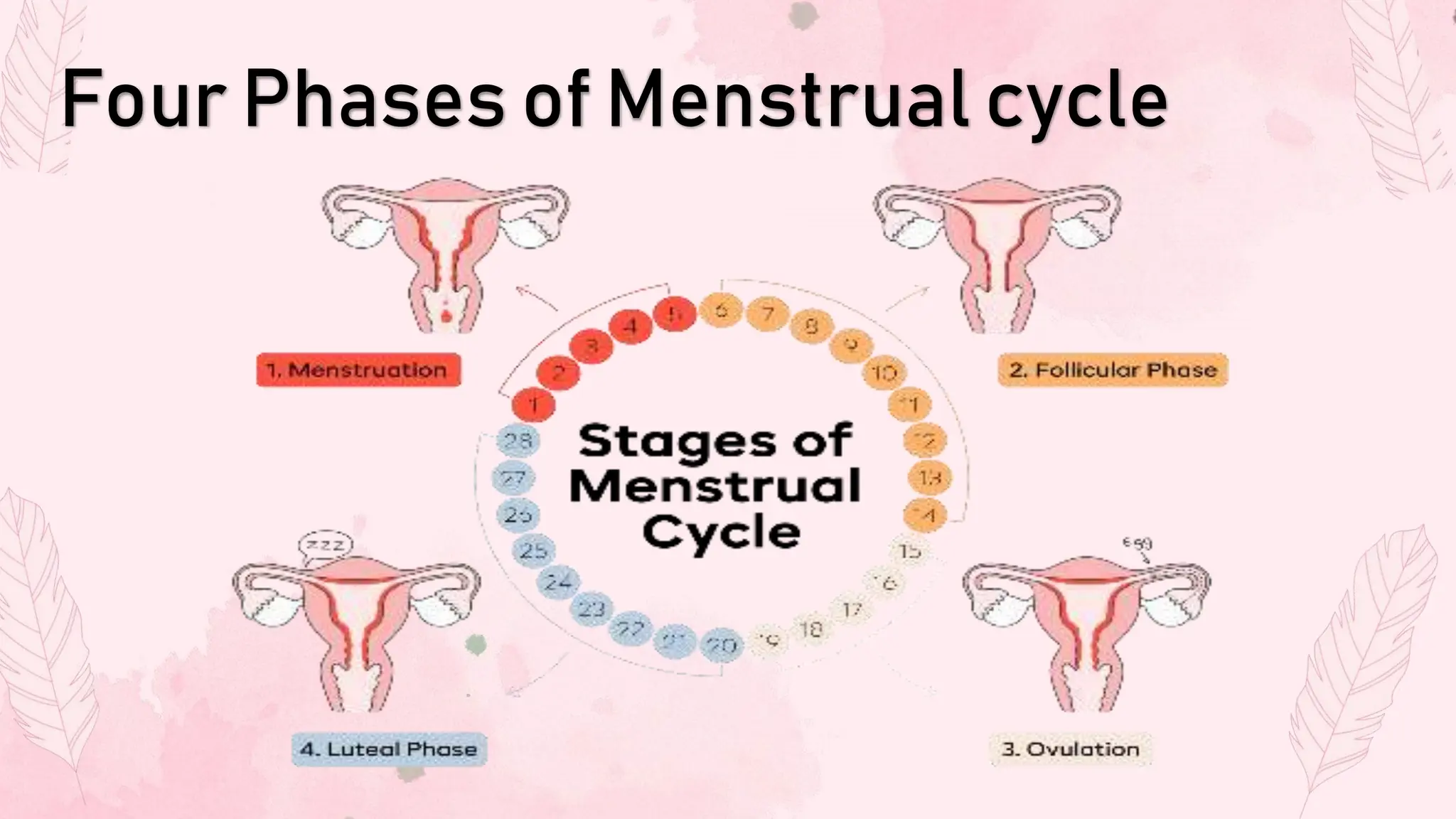 MENSTRUAL CYCLE PRESENTATION.pptx-Grade 10 | PPTX