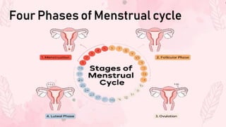 MENSTRUAL CYCLE PRESENTATION.pptx-Grade 10 | PPTX