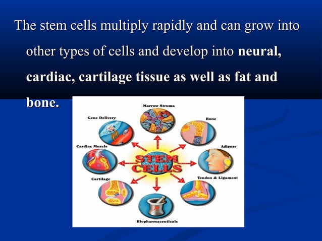 Menstrual blood banking....A stem cell therapy | PPT
