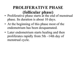 Menstrual Cycle | PPT
