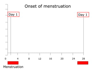 Menstrual cycle | PPT
