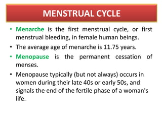 Menstrual cycle | PPTX