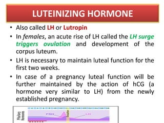 Menstrual cycle | PPTX