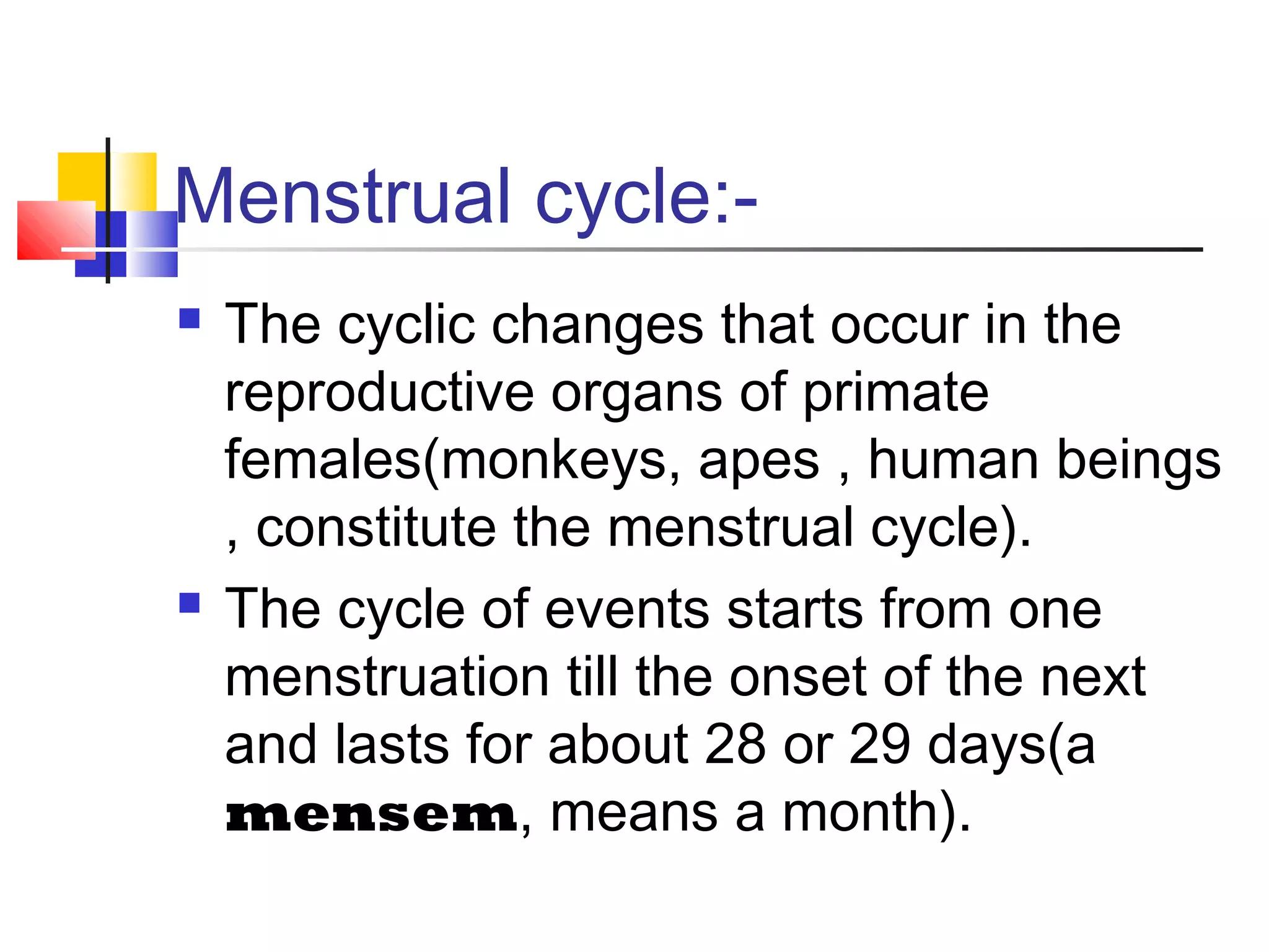 Menstrual cycle | PPT
