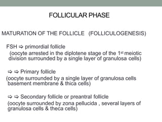 Menstrual cycle | PPTX
