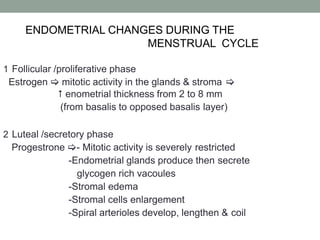 Menstrual cycle | PPTX