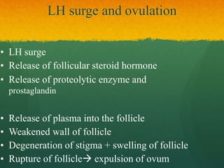 Menstrual cycle and mammary glands | PPTX