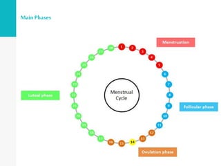 Menstrual cycle | PPTX