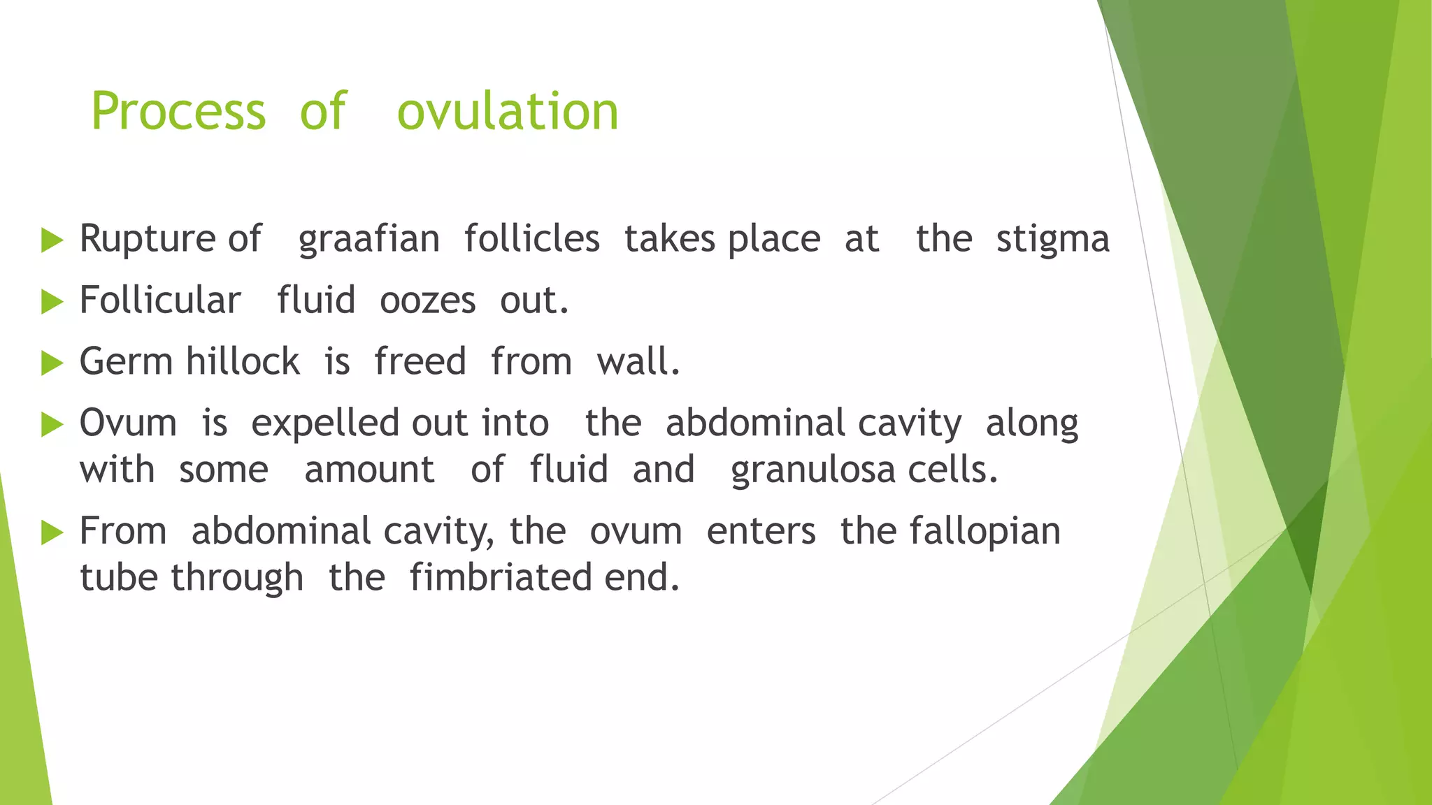 Menstrual cycle | PPTX
