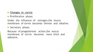 Menstrual cycle | PPTX