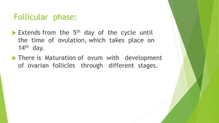 Menstrual cycle | PPTX