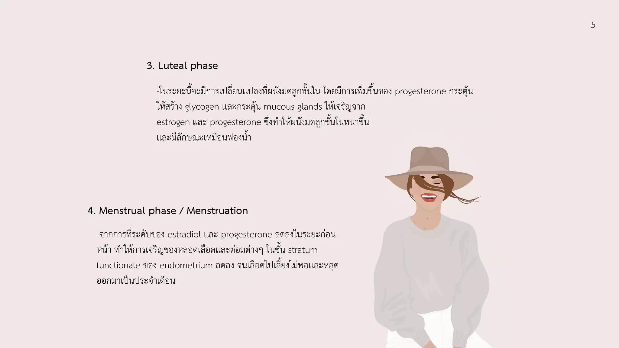 Menstrual cycle 343 | PPT