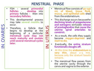 Menstrual cycle | PPTX