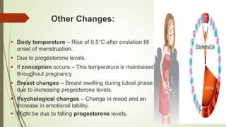 Menstrual cycle | PPTX