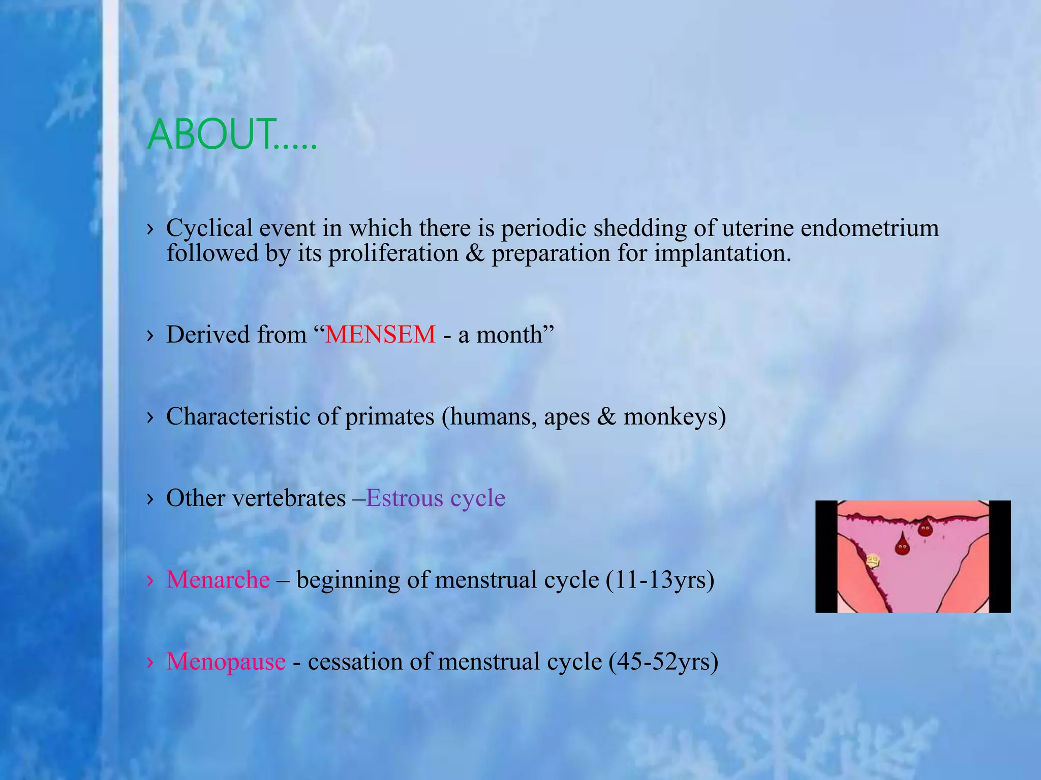 Menstrual Cycle PPT menstrual-cycle-ppt