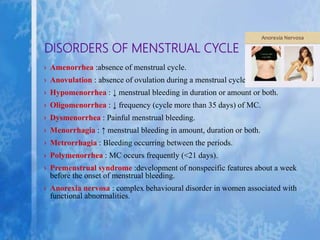 Menstrual cycle | PPT