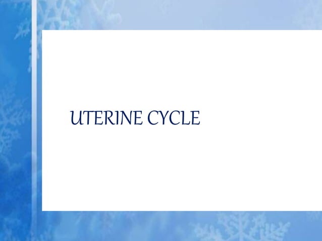 Menstrual cycle | PPT