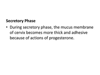 Menstrual cycle | PPTX | Menopause | Endocrine and Metabolic Diseases