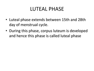 Menstrual cycle | PPTX