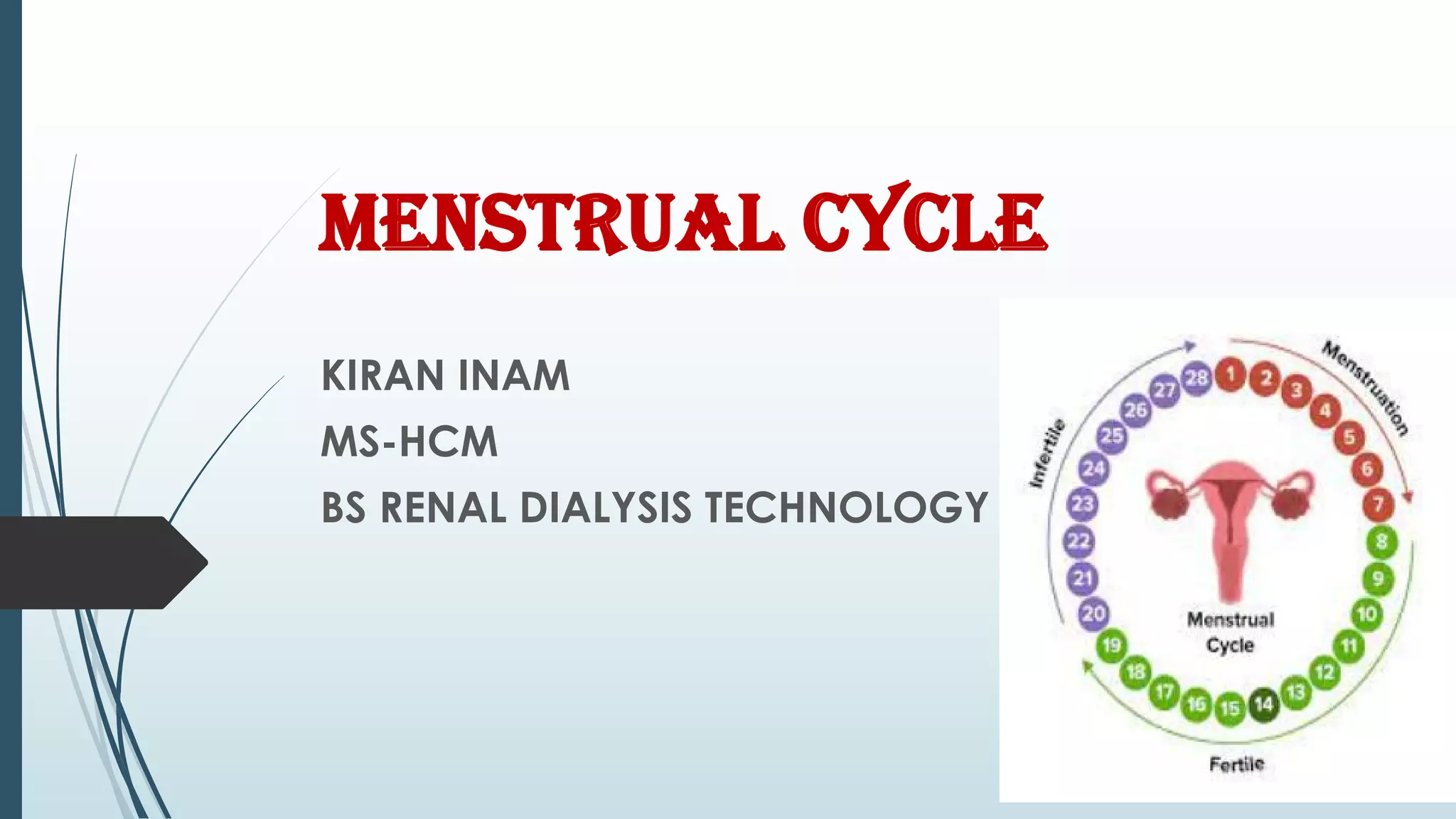 MENSTRUAL CYCLE.pdf