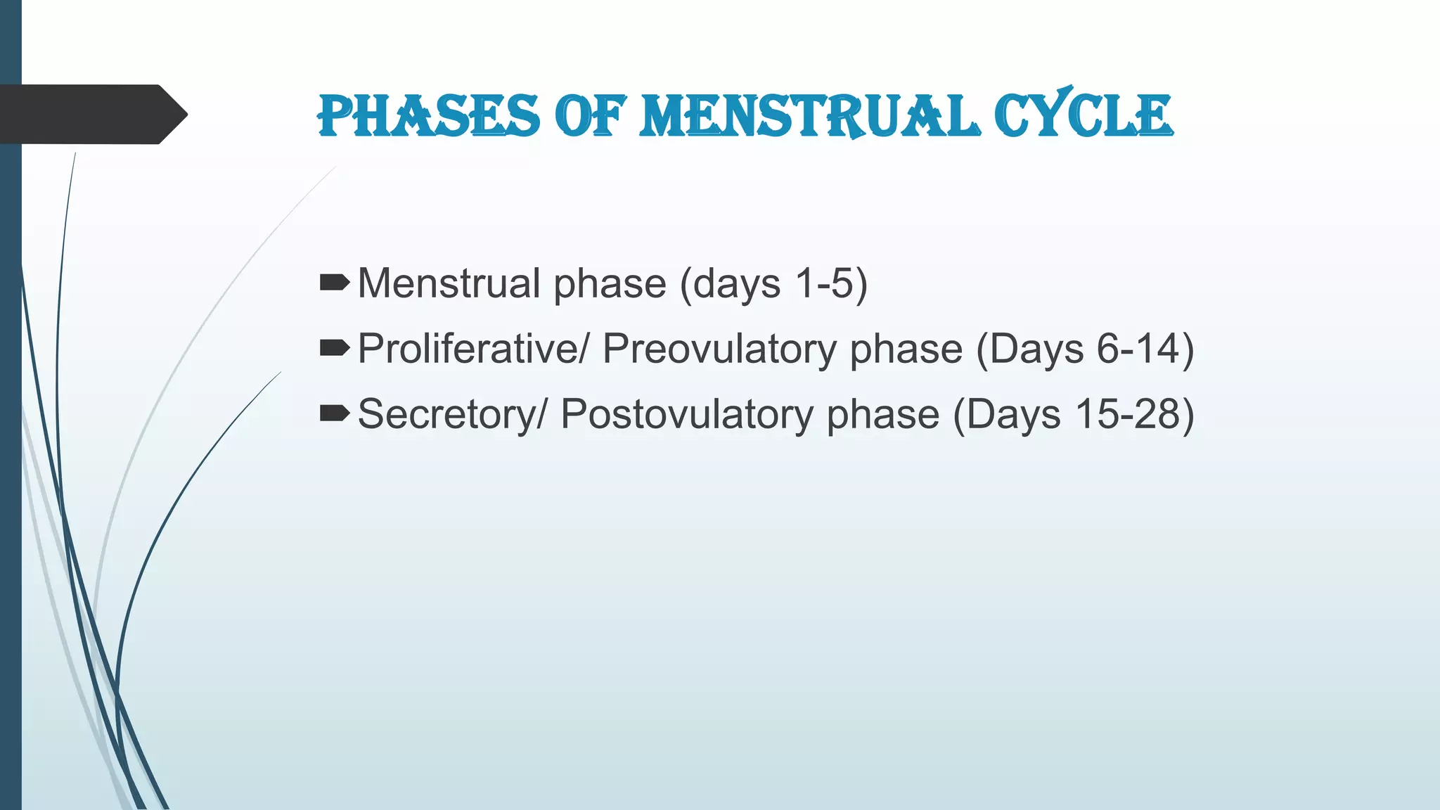 MENSTRUAL CYCLE.pdf