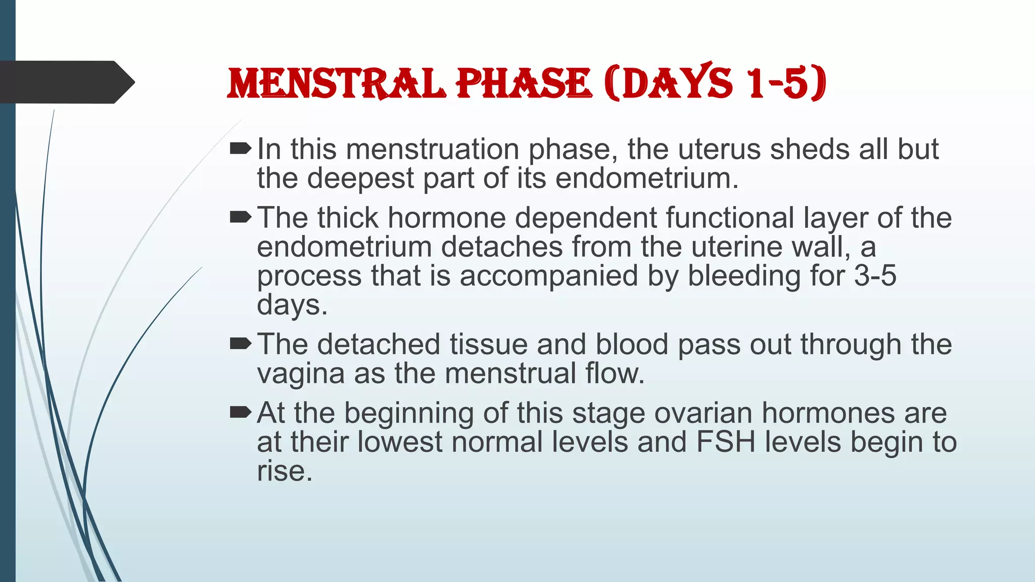 MENSTRUAL CYCLE.pdf
