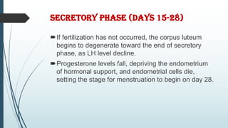 MENSTRUAL CYCLE.pdf