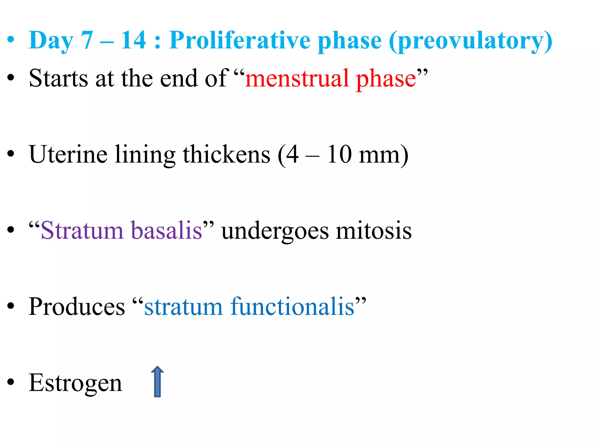 MENSTRUAL CYCLE.pptx