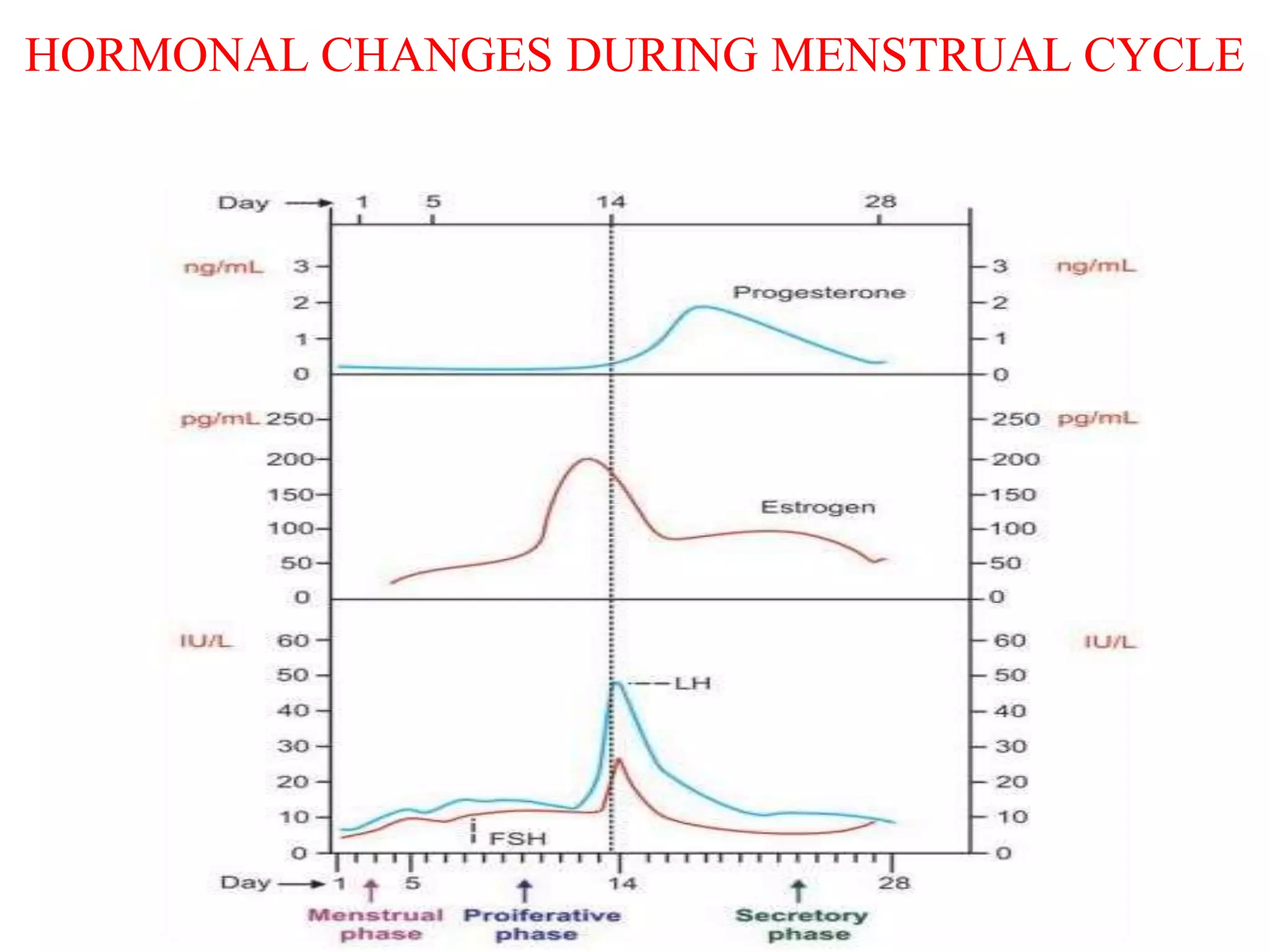 MENSTRUAL CYCLE.pptx