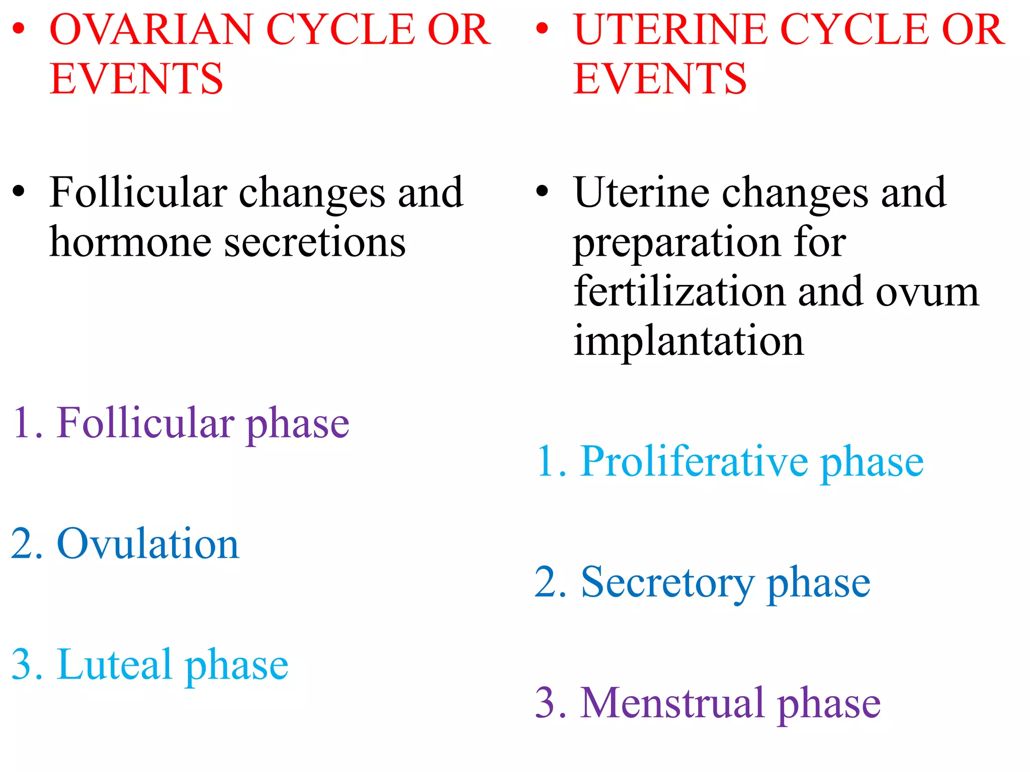 MENSTRUAL CYCLE.pptx