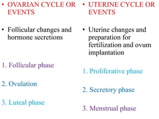 MENSTRUAL CYCLE.pptx