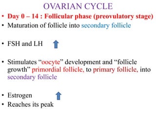 MENSTRUAL CYCLE.pptx