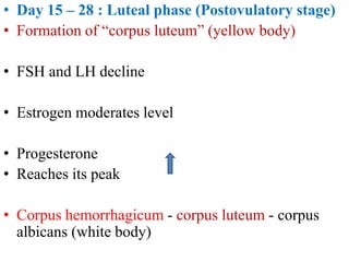 MENSTRUAL CYCLE.pptx