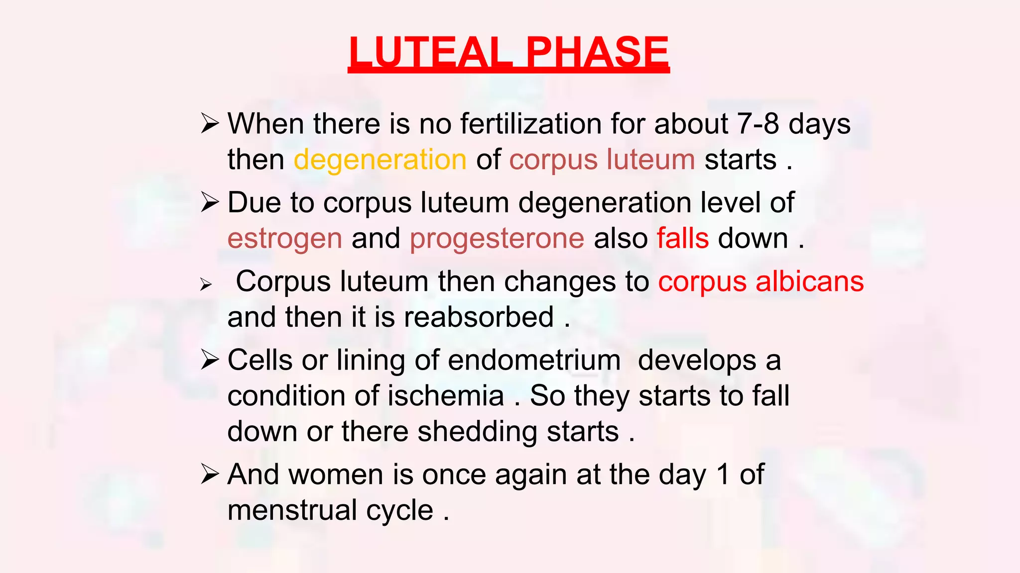menstrual cycle.pptx