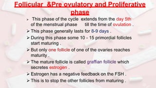 menstrual cycle.pptx