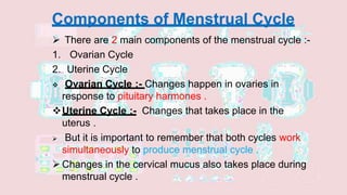menstrual cycle.pptx