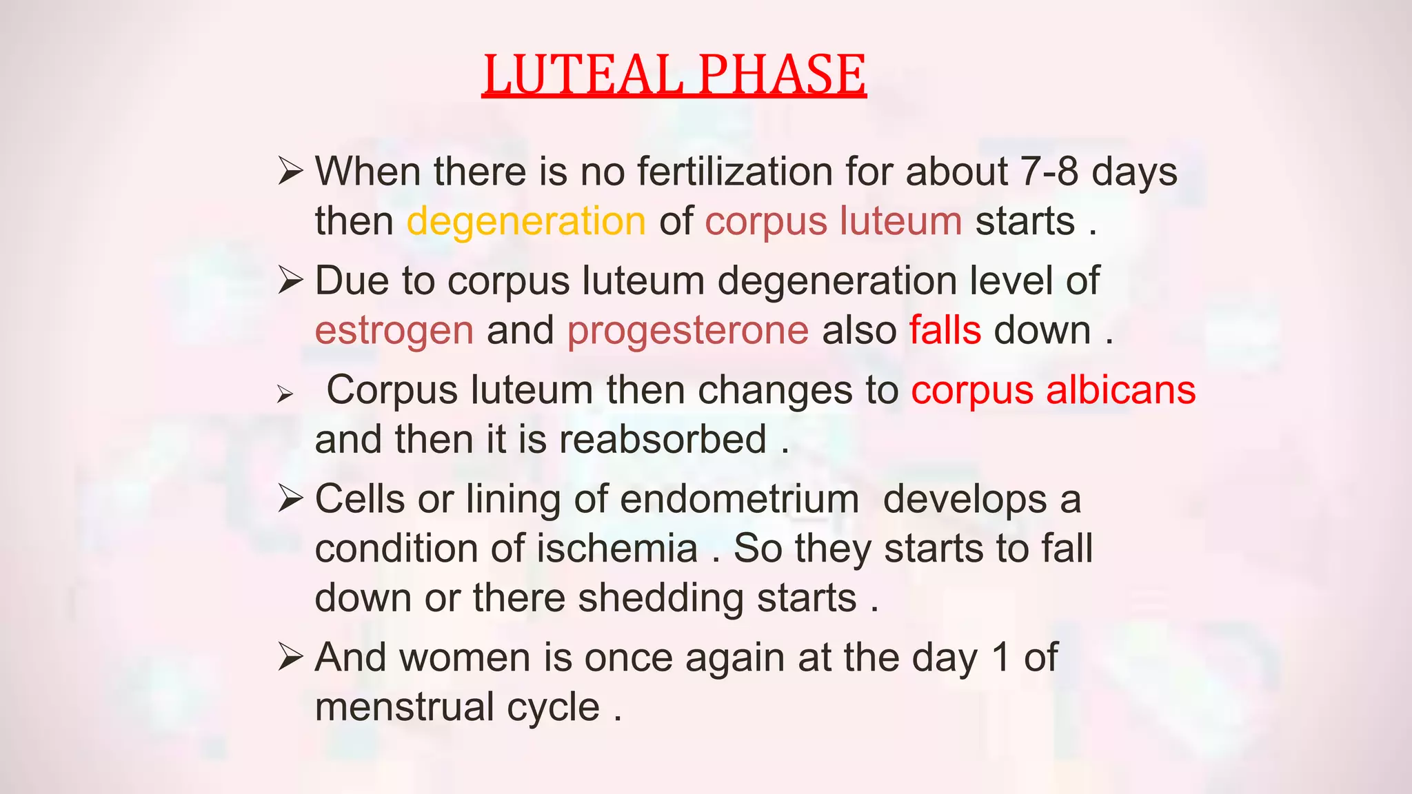 menstrual cycle.pptx