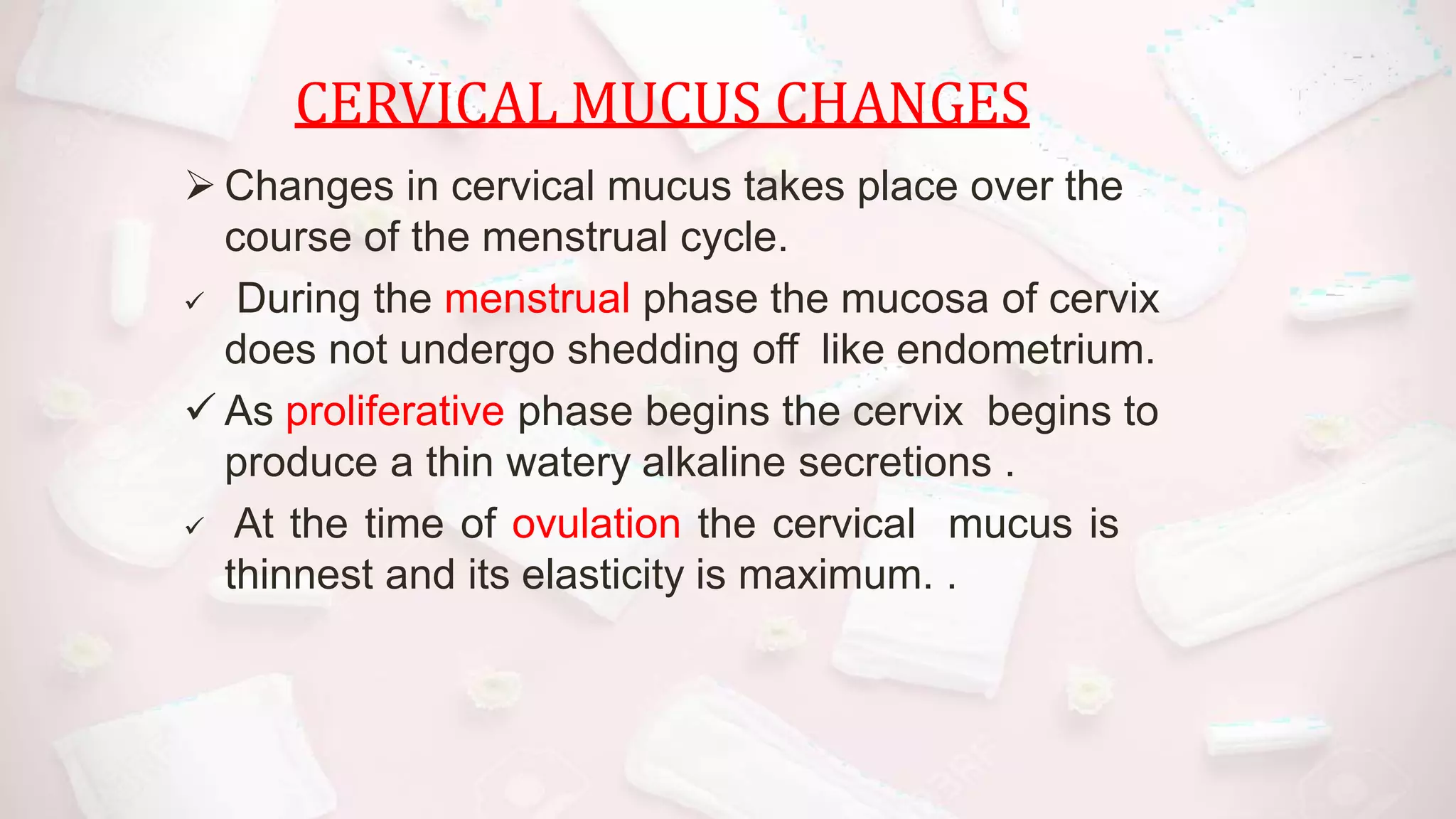 menstrual cycle.pptx
