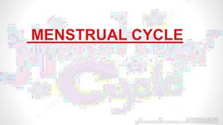 menstrual cycle.pptx